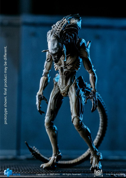 Hiya Toys Alien vs Predator Requiem Predalien Figure, Razors Edge ...